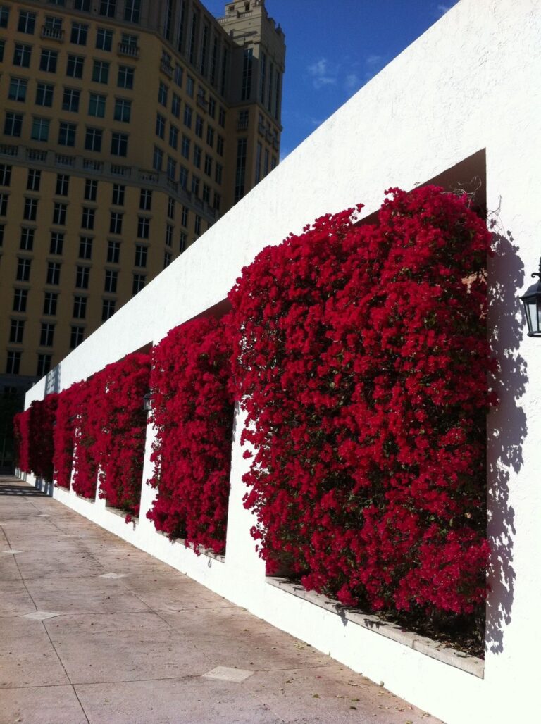 35 Fence Decorating Ideas to Transform Your Outdoor Space - Homee Bee